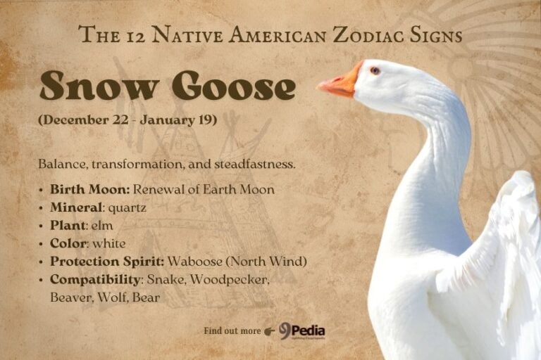 12 Magical Native American Zodiac Signs - What's YOUR Sign?