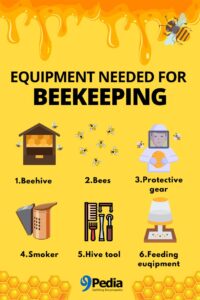 The Fascinating World of Beekeeping🐝 3 Step Beginner's Guide