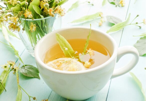 9 Magic Uses of Linden Tree You Didn't Know About