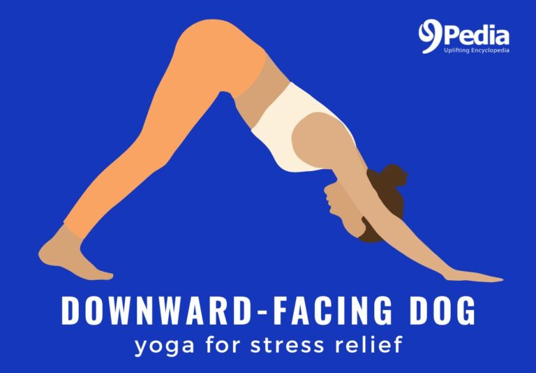 9 Easy Yoga Poses for Stress Relief with Clear Instructions
