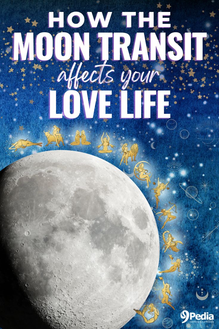 How the Moon Transit Affects Your Love Life - The 12 Signs