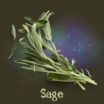 9 Magic Herbs for Protection from Evil Spirits 🌿 How To Use