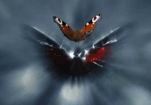 The Mysterious Mothman from Virginia - 4 Horror Stories