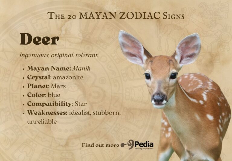 What Is Your Mayan Zodiac Sign? TOP 20 Mayan Zodiac Signs🔮