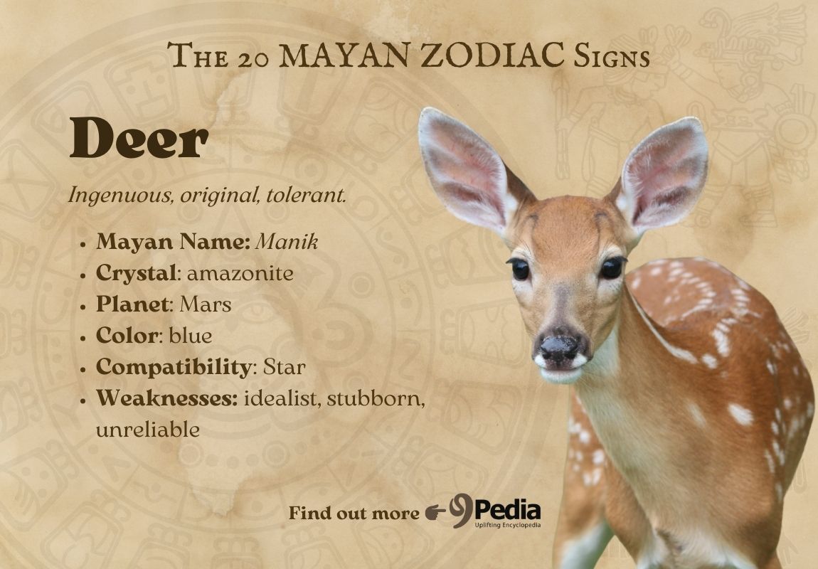 What Is Your Mayan Zodiac Sign? TOP 20 Mayan Zodiac Signs🔮