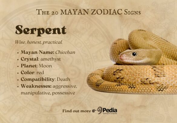 What Is Your Mayan Zodiac Sign? TOP 20 Mayan Zodiac Signs🔮