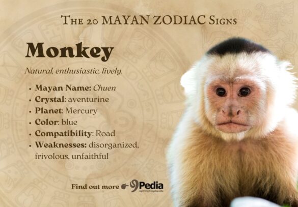 What Is Your Mayan Zodiac Sign? TOP 20 Mayan Zodiac Signs🔮