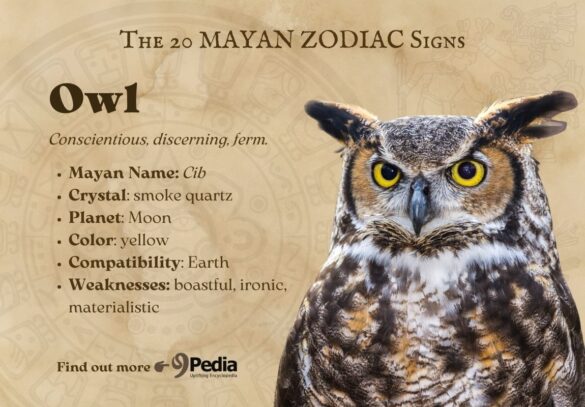 What Is Your Mayan Zodiac Sign? TOP 20 Mayan Zodiac Signs🔮