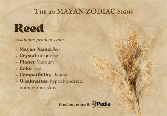 What Is Your Mayan Zodiac Sign? TOP 20 Mayan Zodiac Signs🔮